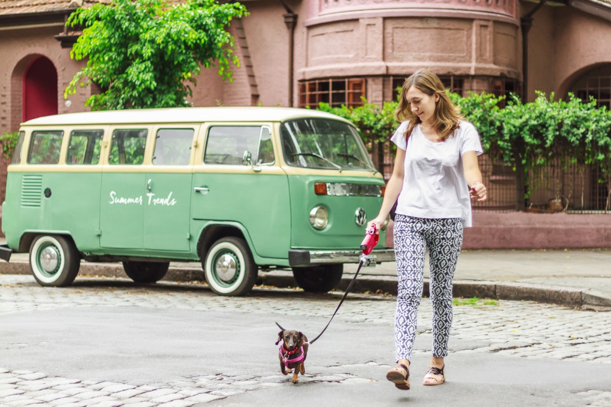 ESTOS SON LOS MEJORES BARRIOS PARA PASEAR A TU PERRO / POR VICKY ...