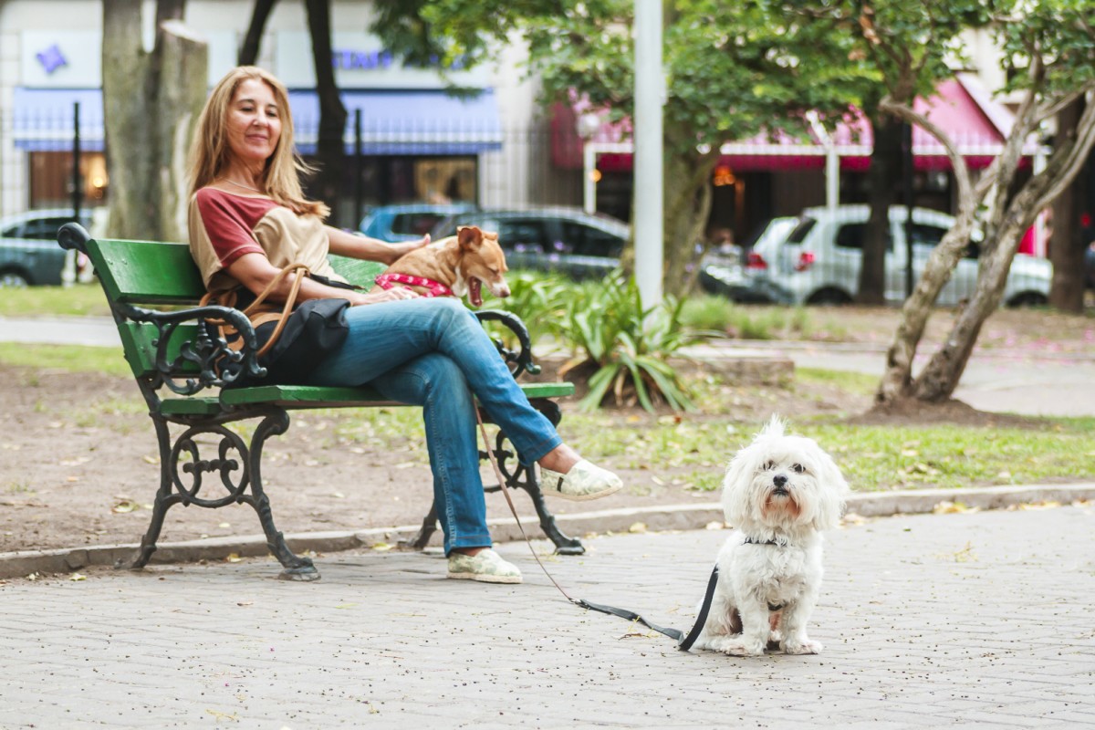 ESTOS SON LOS MEJORES BARRIOS PARA PASEAR A TU PERRO / POR VICKY ...