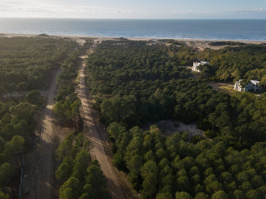Pinamar: lugares, situaciones y secretos que descubrí a lo largo de una ...