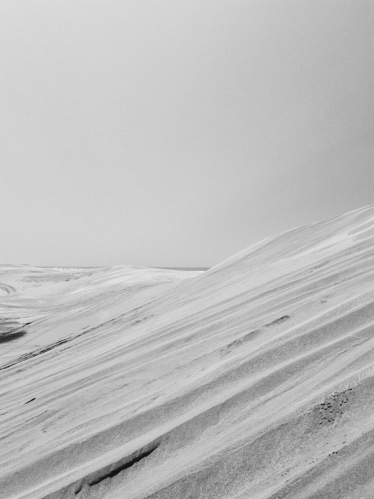 Por qué es un «crimen» ambiental lo que sucede en los médanos de ...