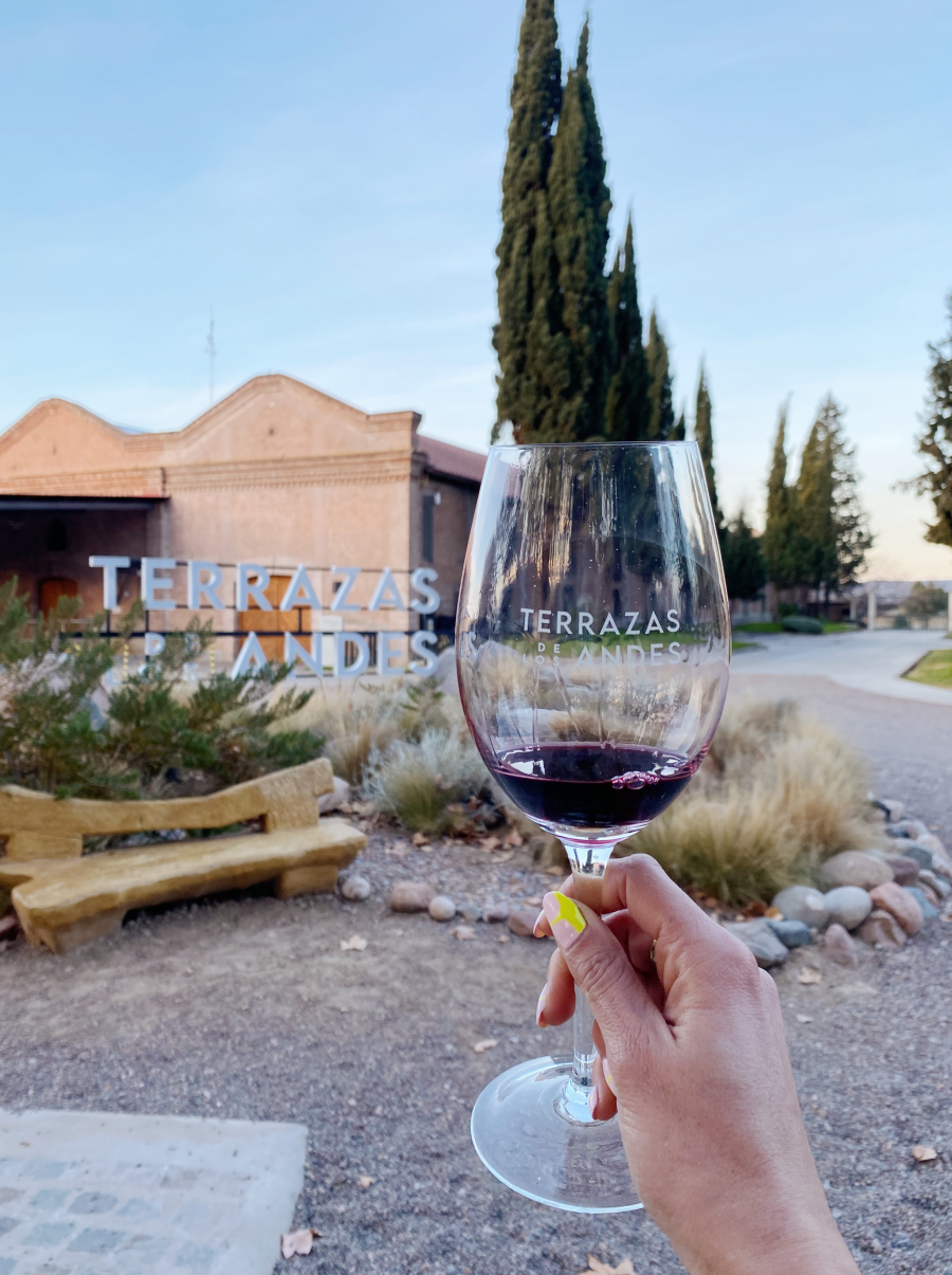 «Así viví un non stop de catas y placeres entre vinos logrados (y ...